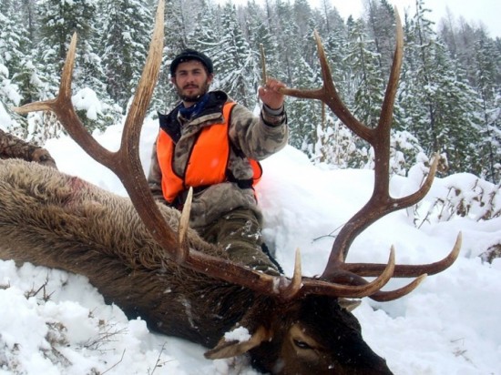 Elk Hunting Trips, Rifle, Archery Big Bull Elk Hunts