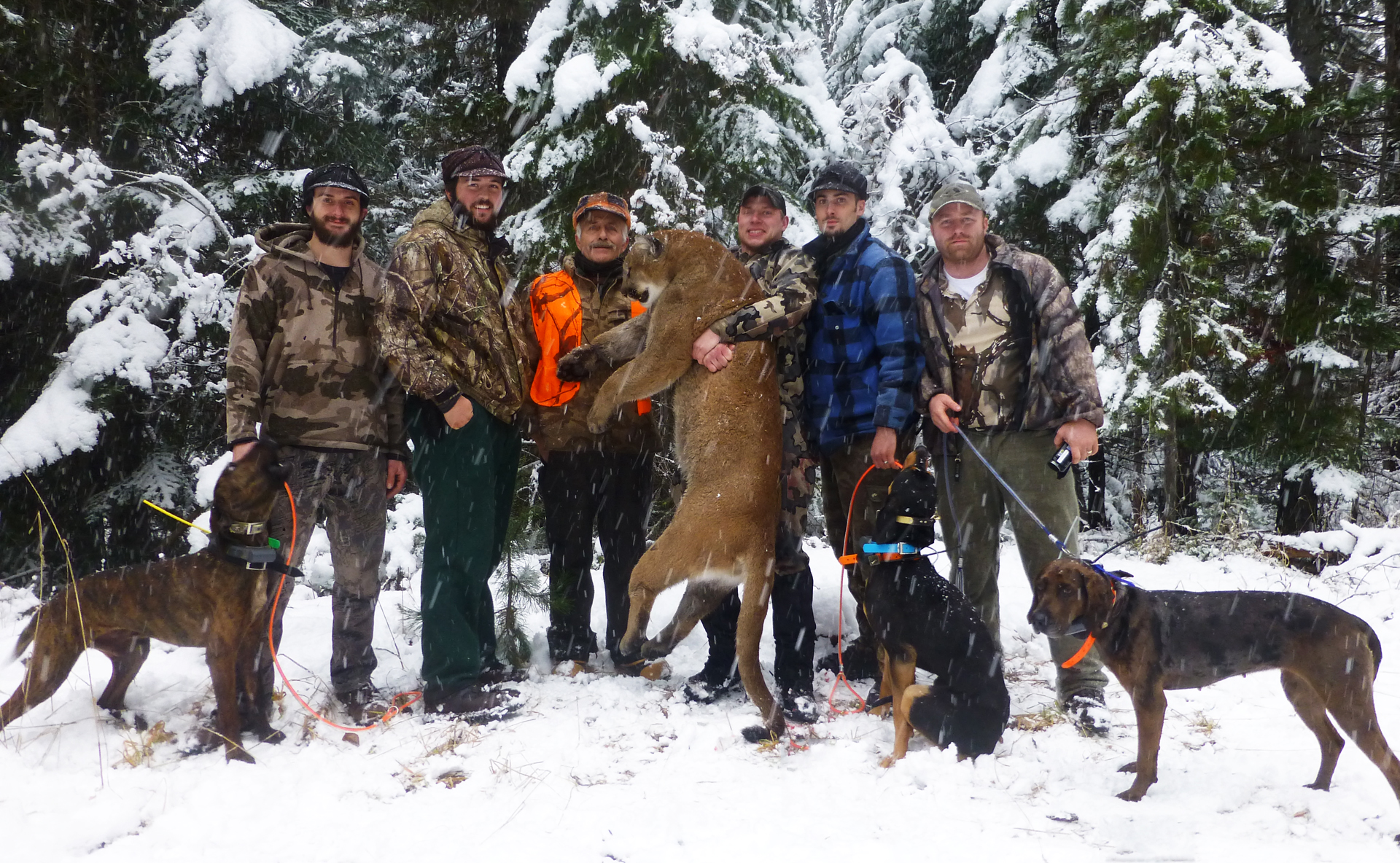 Montana Hunting Outfitter | Guided Elk hunting, Deer hunting, Bear ...