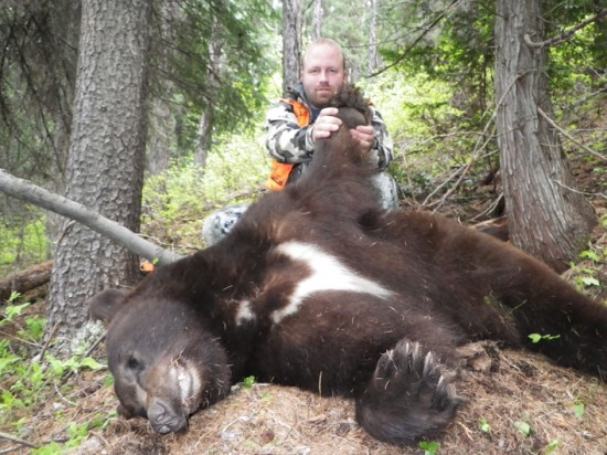 Bear Hunting Trips, Fall, Spring Bear Hunts, Big Trophy Bear