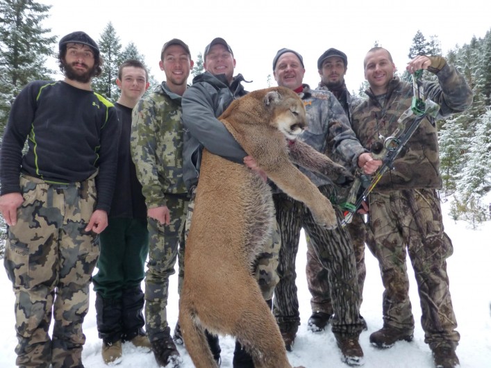 Mountain Lion Hunting, Best MT cougar Hunting Guides