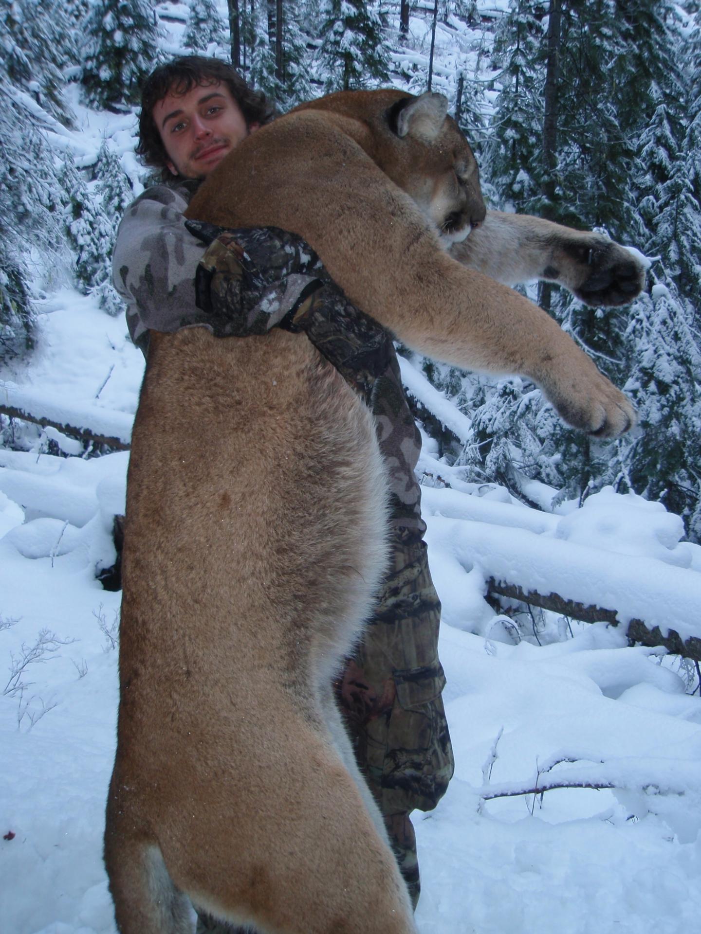 Mountain Lion Hunts 2010 & before | Montana Hunting Outfitter