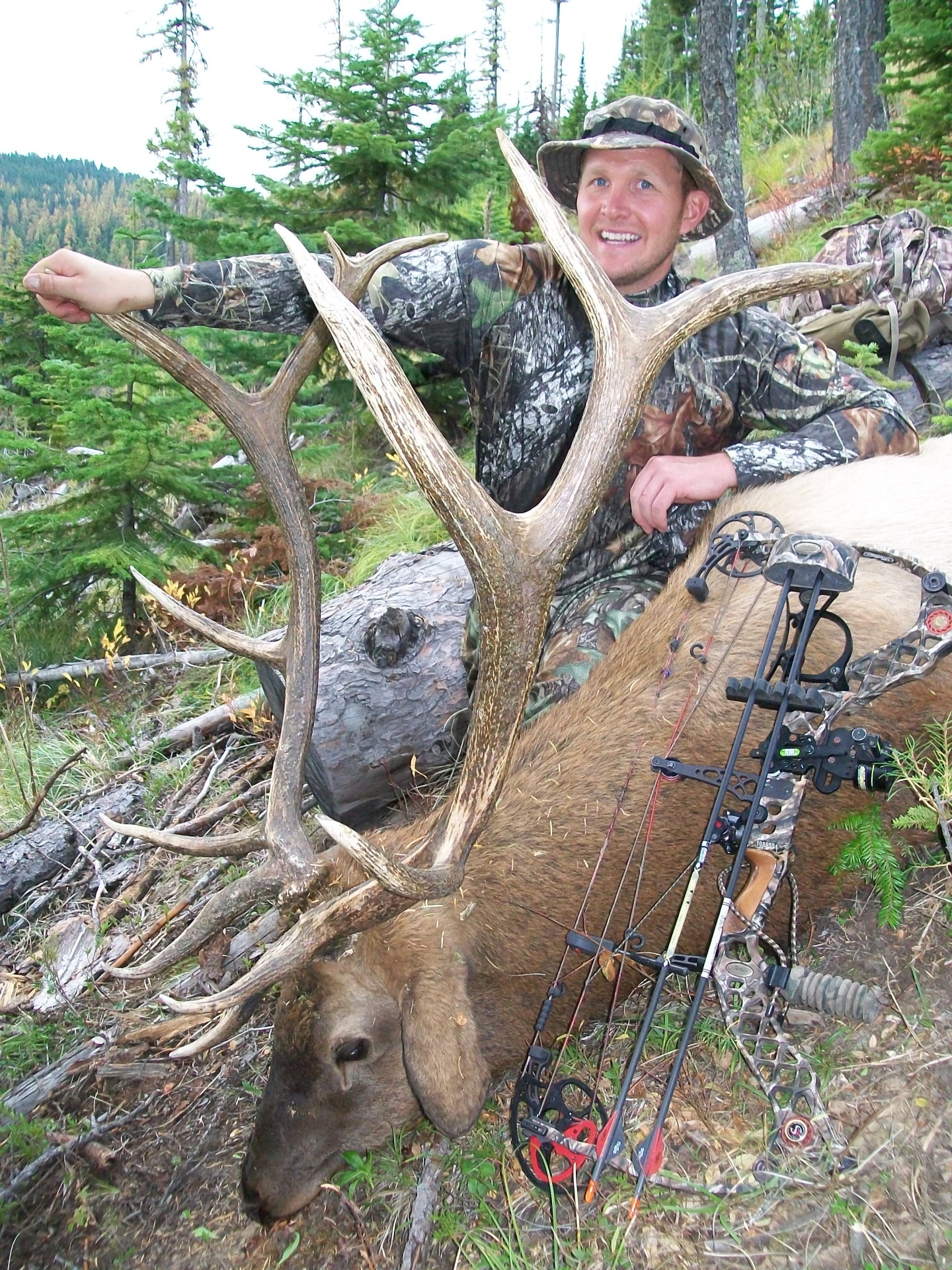 Best Archery Elk Hunts | Montana Hunting Outfitter