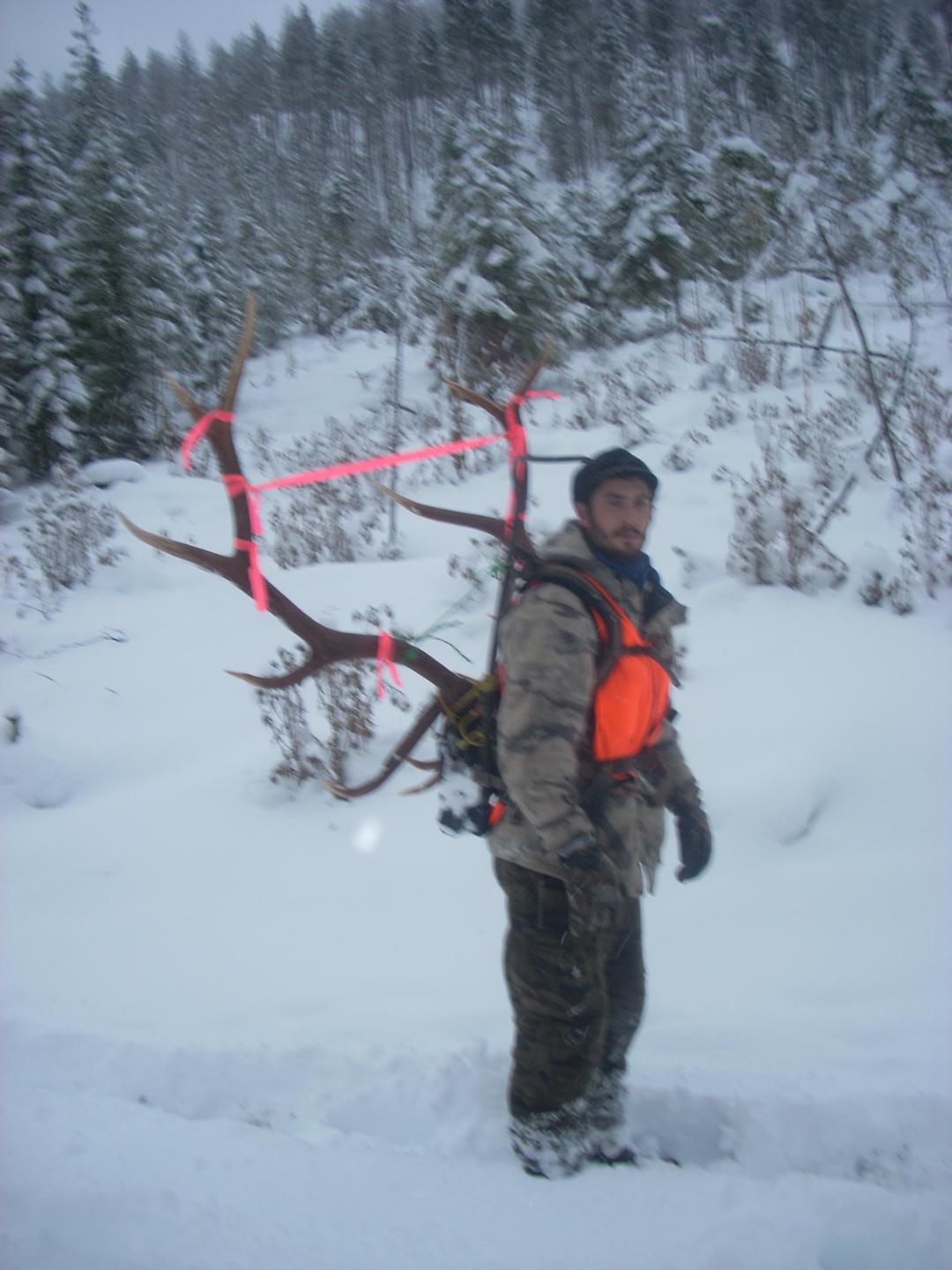 Elk Hunting Spike Camp | Montana Hunting Outfitter