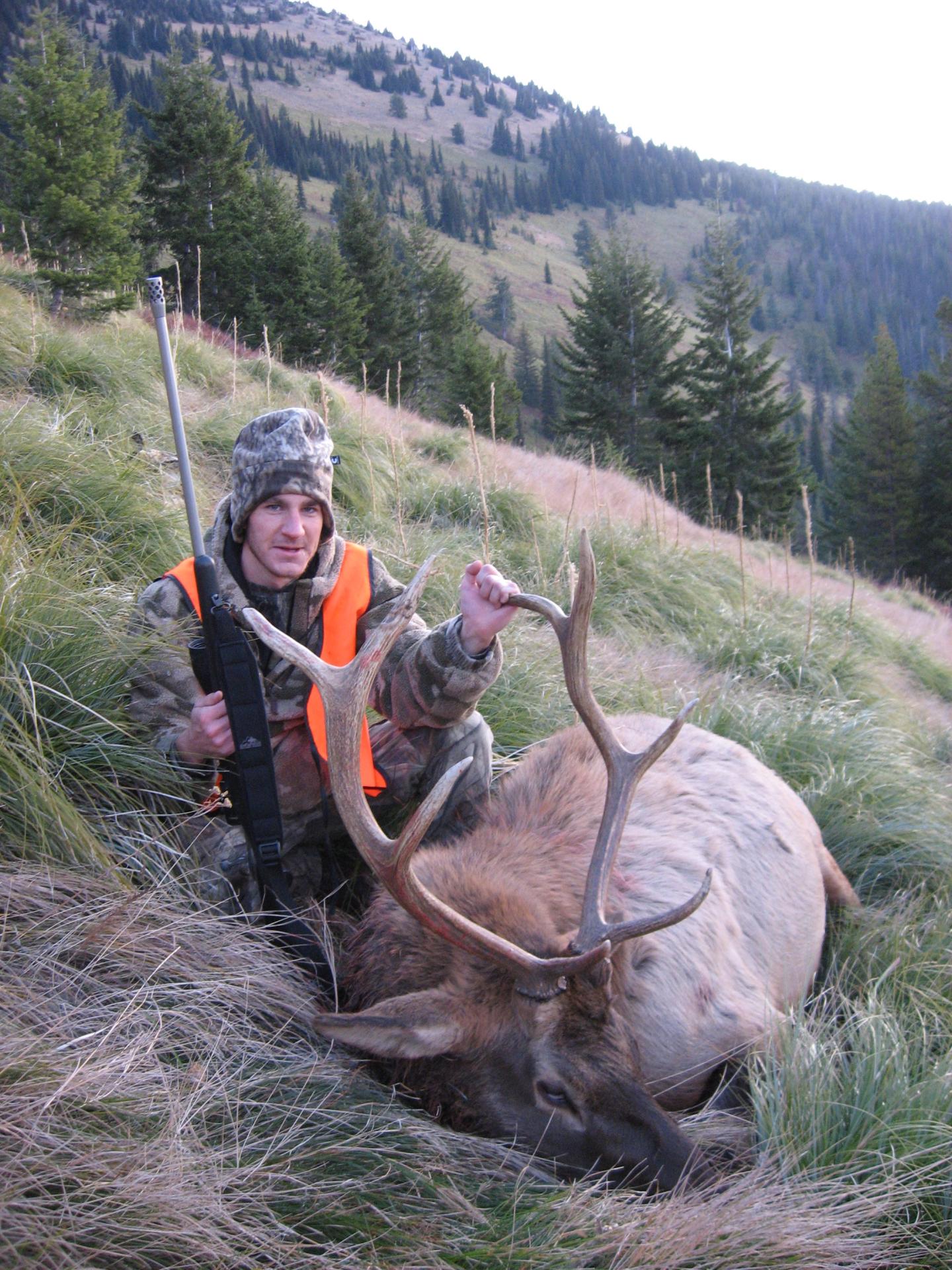 Elk Hunting Trips | Montana Hunting Outfitter