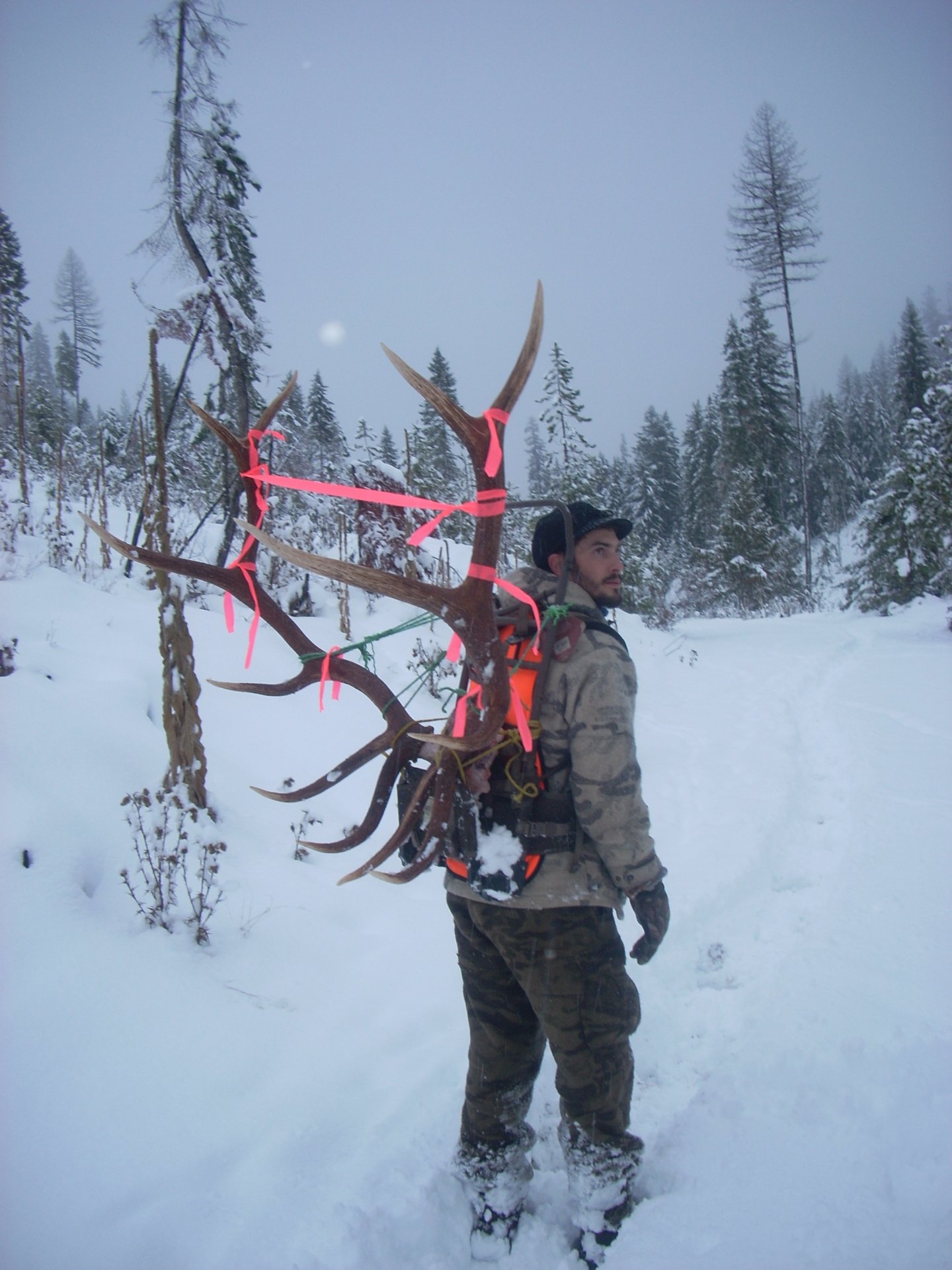 Elk Hunting Spike Camp | Montana Hunting Outfitter