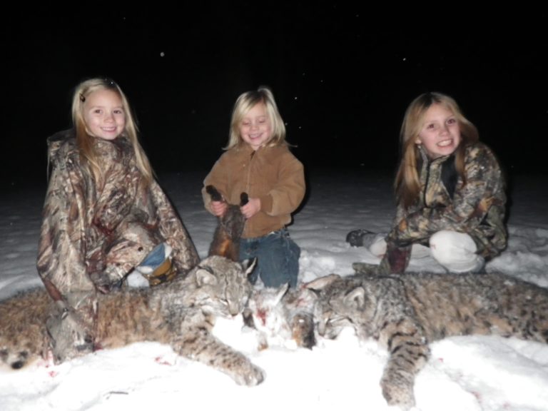 Wolf Hunting | Montana Hunting Outfitter